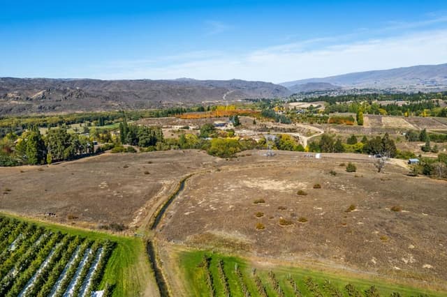 Central Otago, Tall Poppy Listings